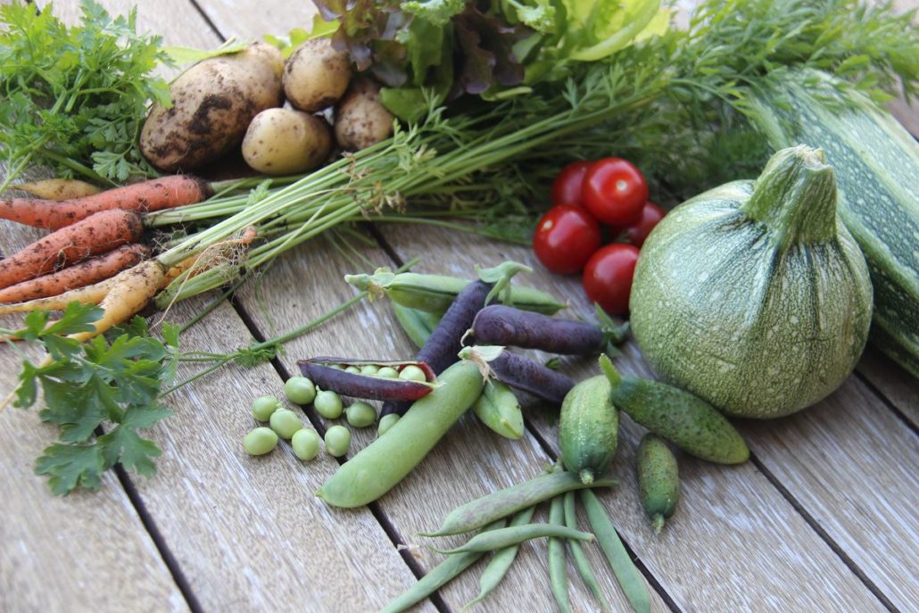 Le restaurant & Salon de thé - Le jardin des 4M